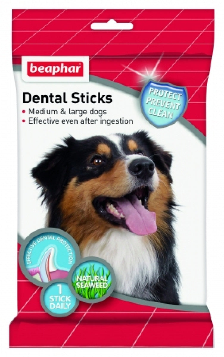 Dental Sticks – Maryam's Pet