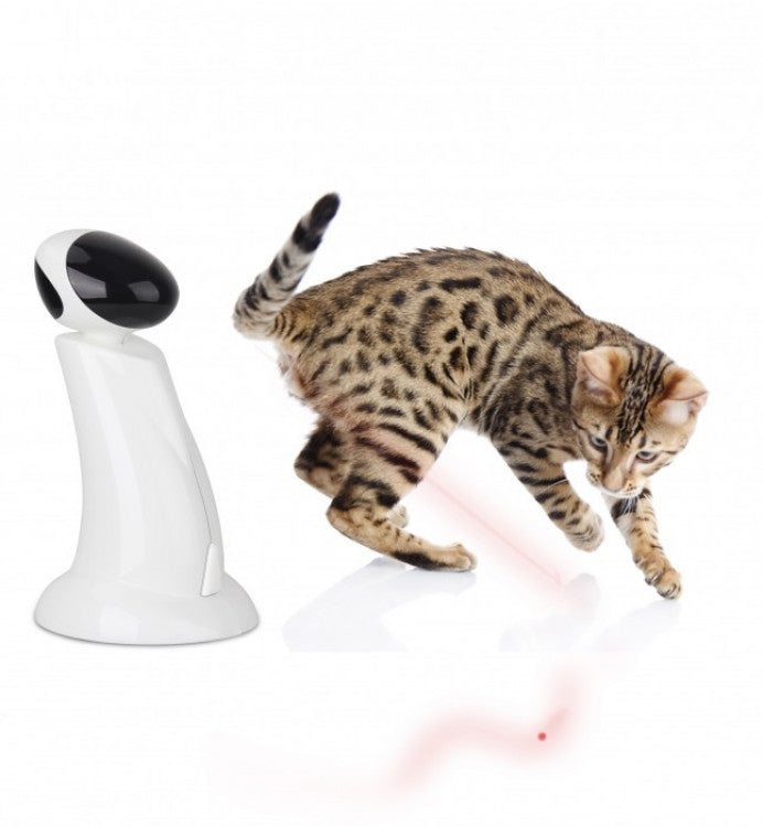 All For Paws Lazer Beam - Cat Toy – Maryam's Pet